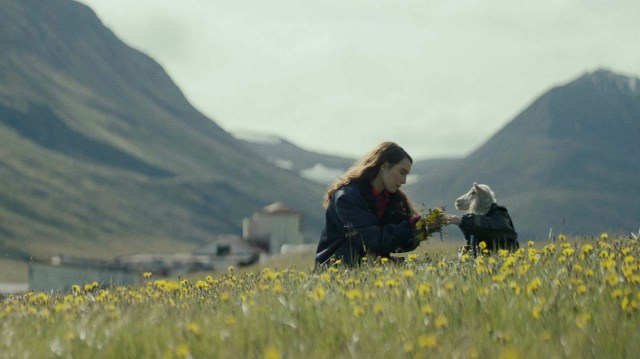 DVD review: “Lamb” (2021) – spryfilm.com