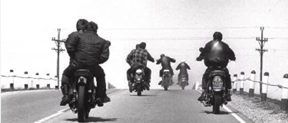 Trailer: “The Bikeriders” (2023) – spryfilm.com